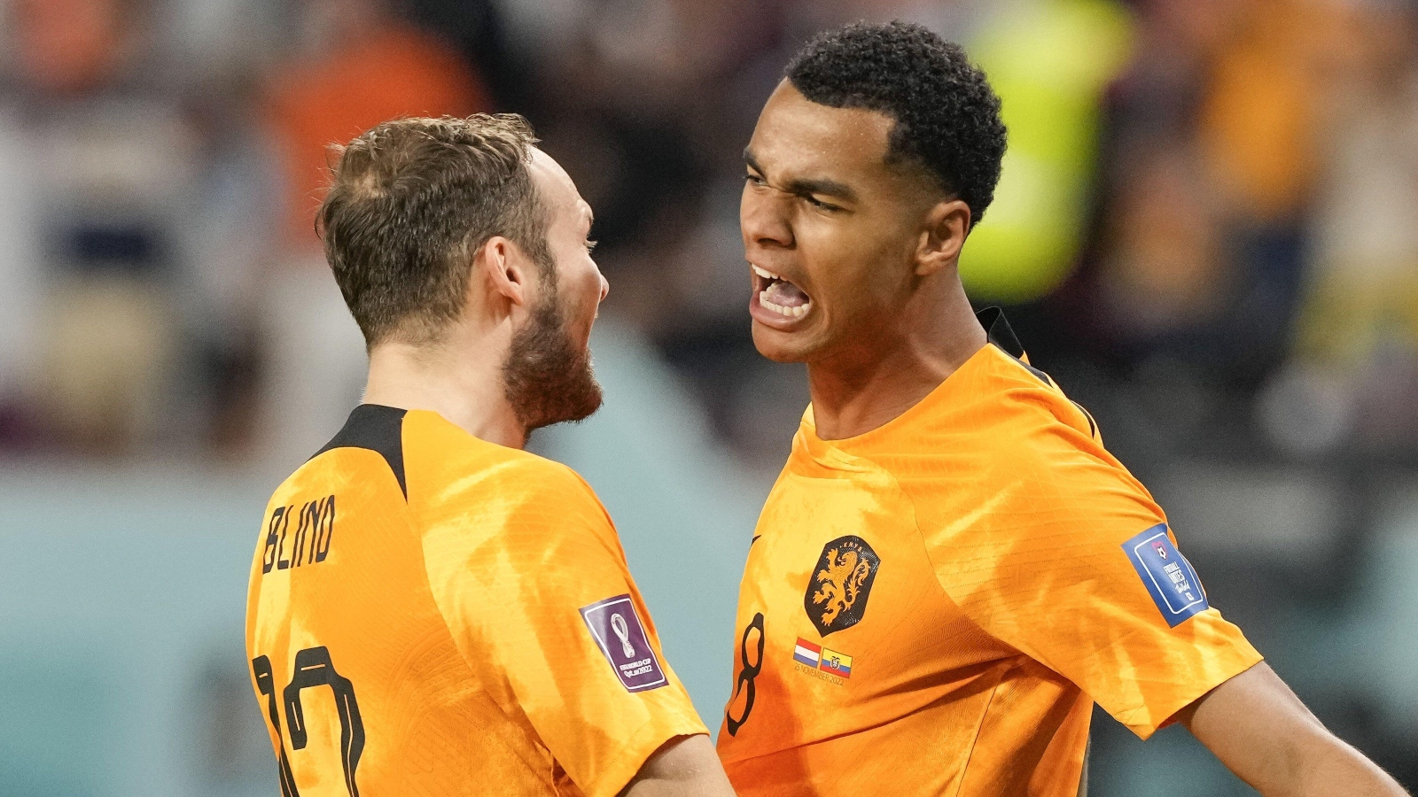 UFABETWIN เนเธอร์แลนด์ต้องหาทางปรับปรุงจากที่ไหนสักแห่ง - เล่นป๊อกเด้งออนไลน์ เว็บไหนดีเล่นป๊อก ...